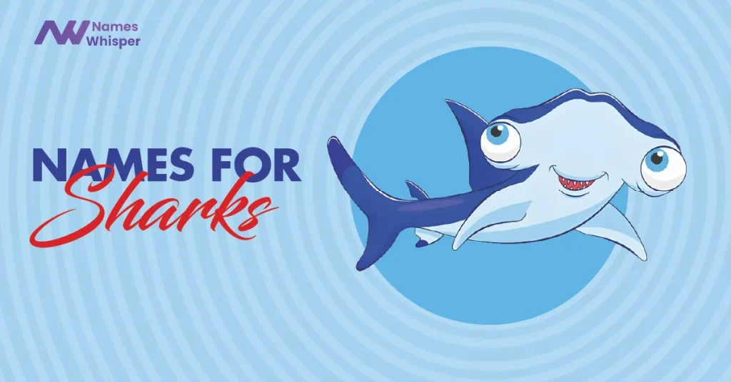 70 Clever and Funny Shark Names